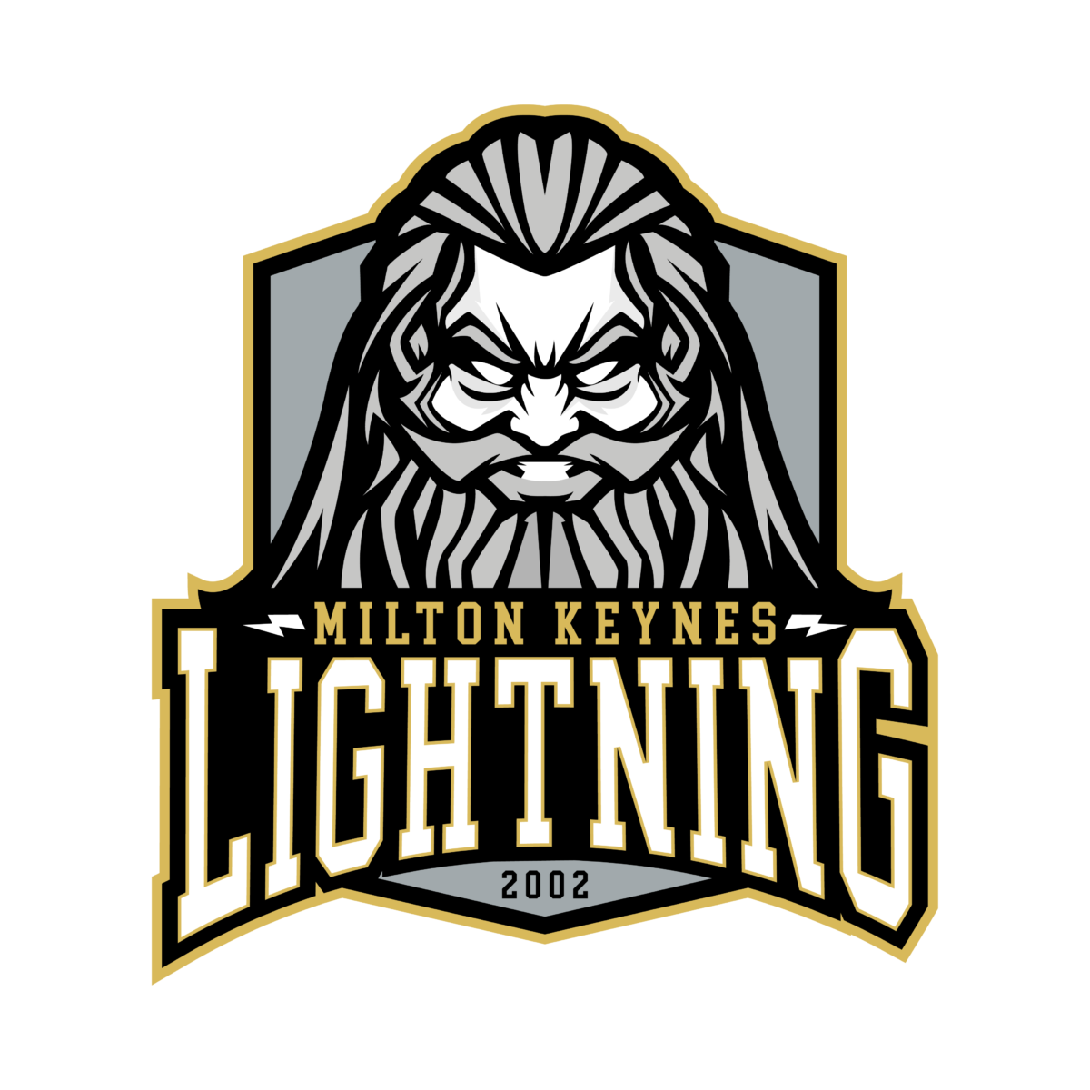 Rink Seating | Milton Keynes Lightning Ice Hockey